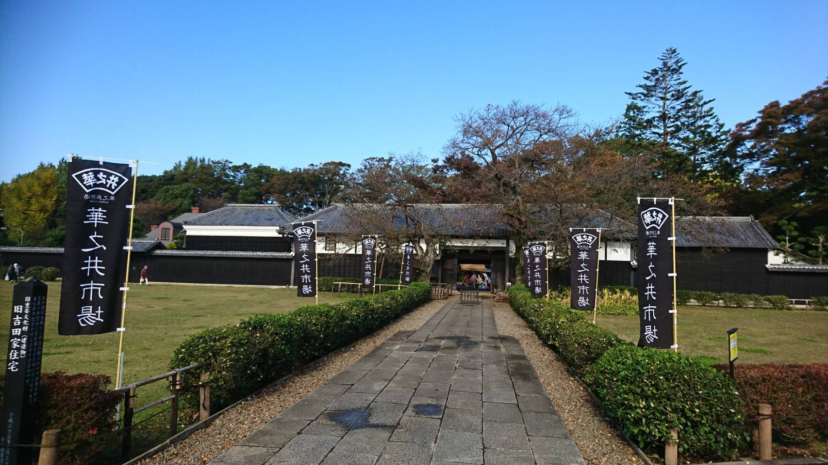 64 1 jpg